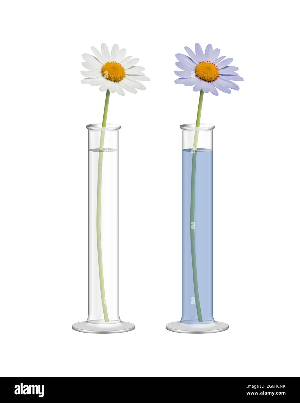 Blue test tube yellow Cut Out Stock Images & Pictures - Alamy