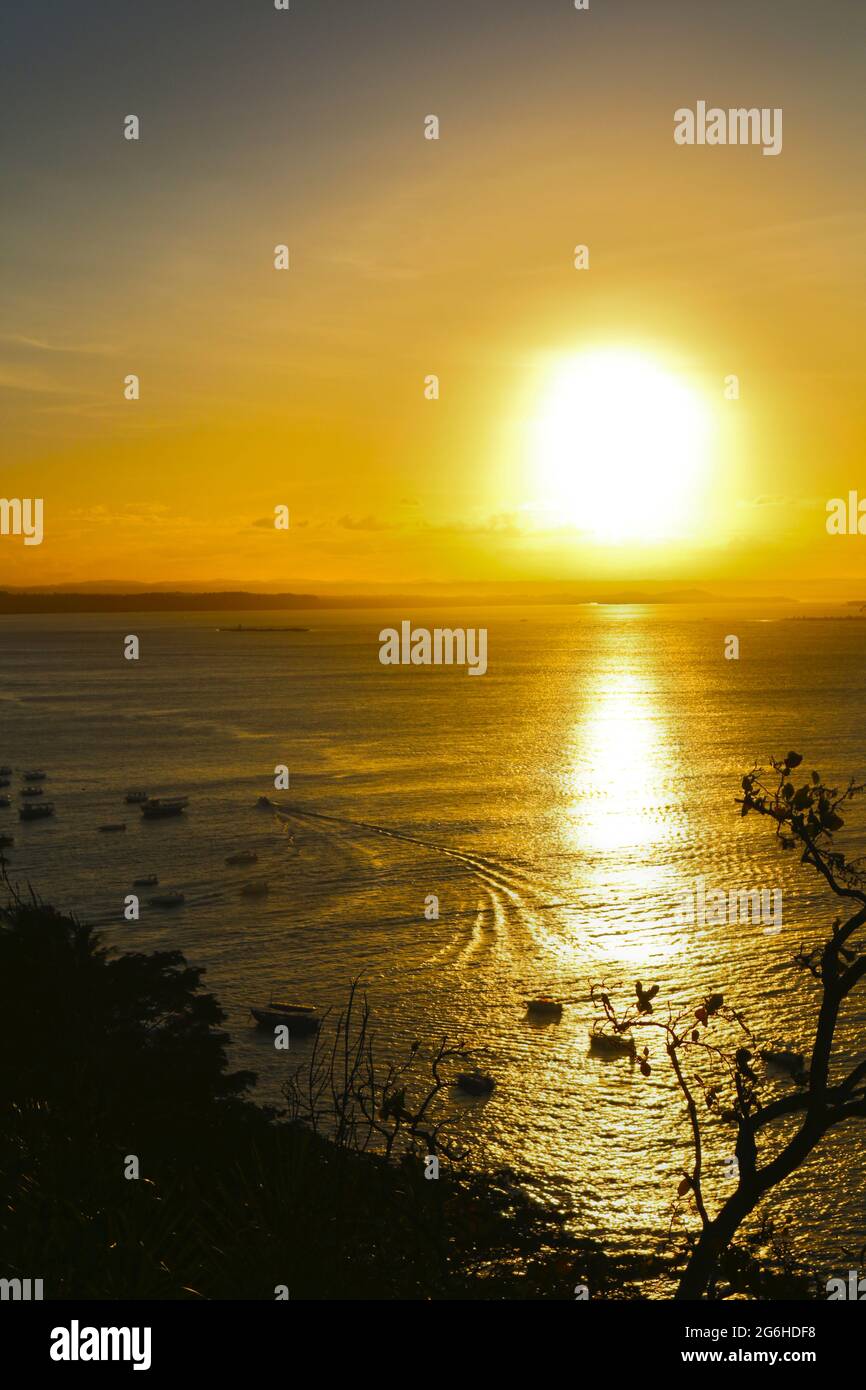 Natureza tropical hi-res stock photography and images - Alamy