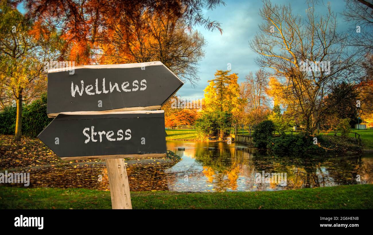 Street Sign the Direction Way to Wellness versus Stress Stock Photo - Alamy