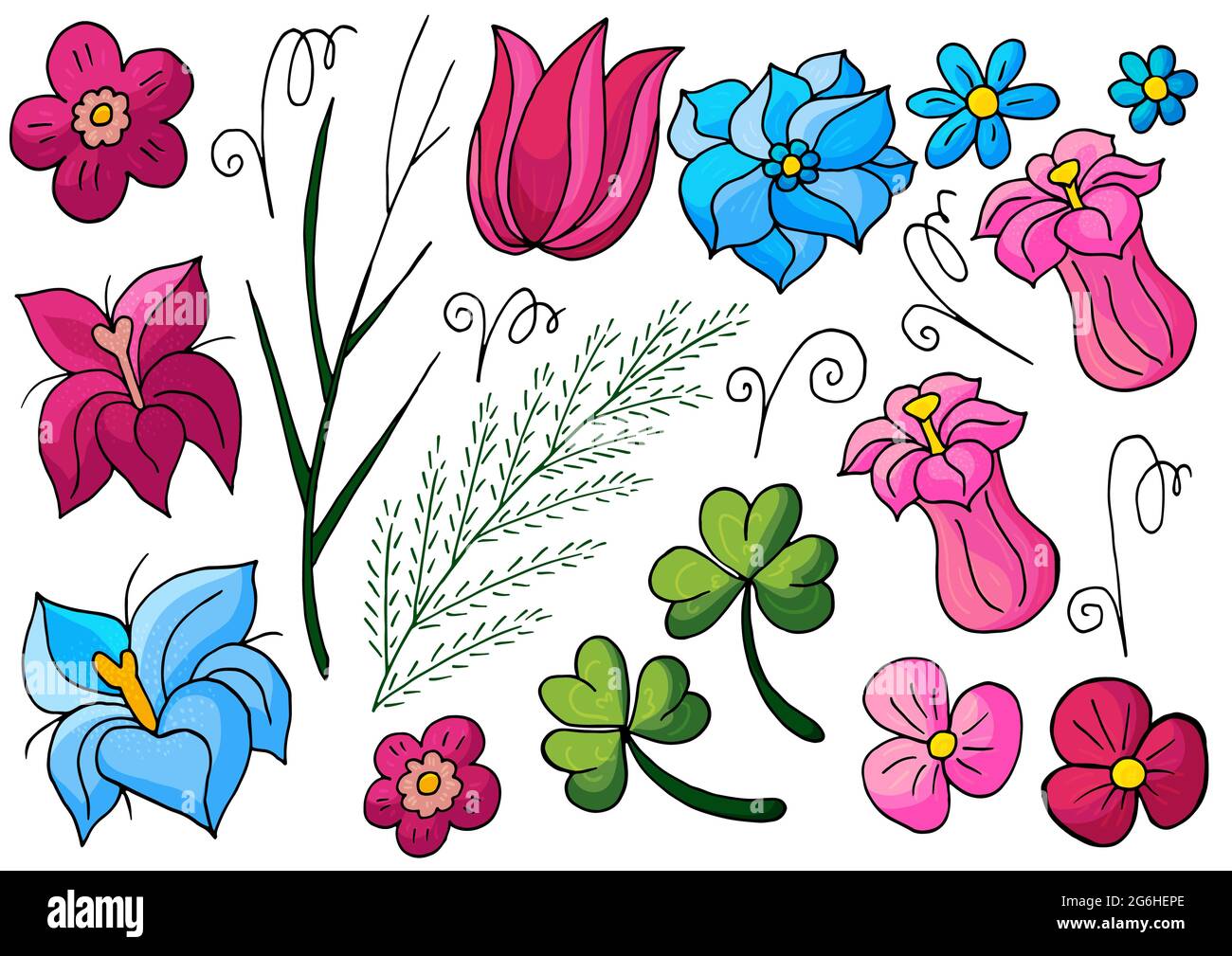 Collection of vector floral elements. Flowers and leaves in hand draw ...