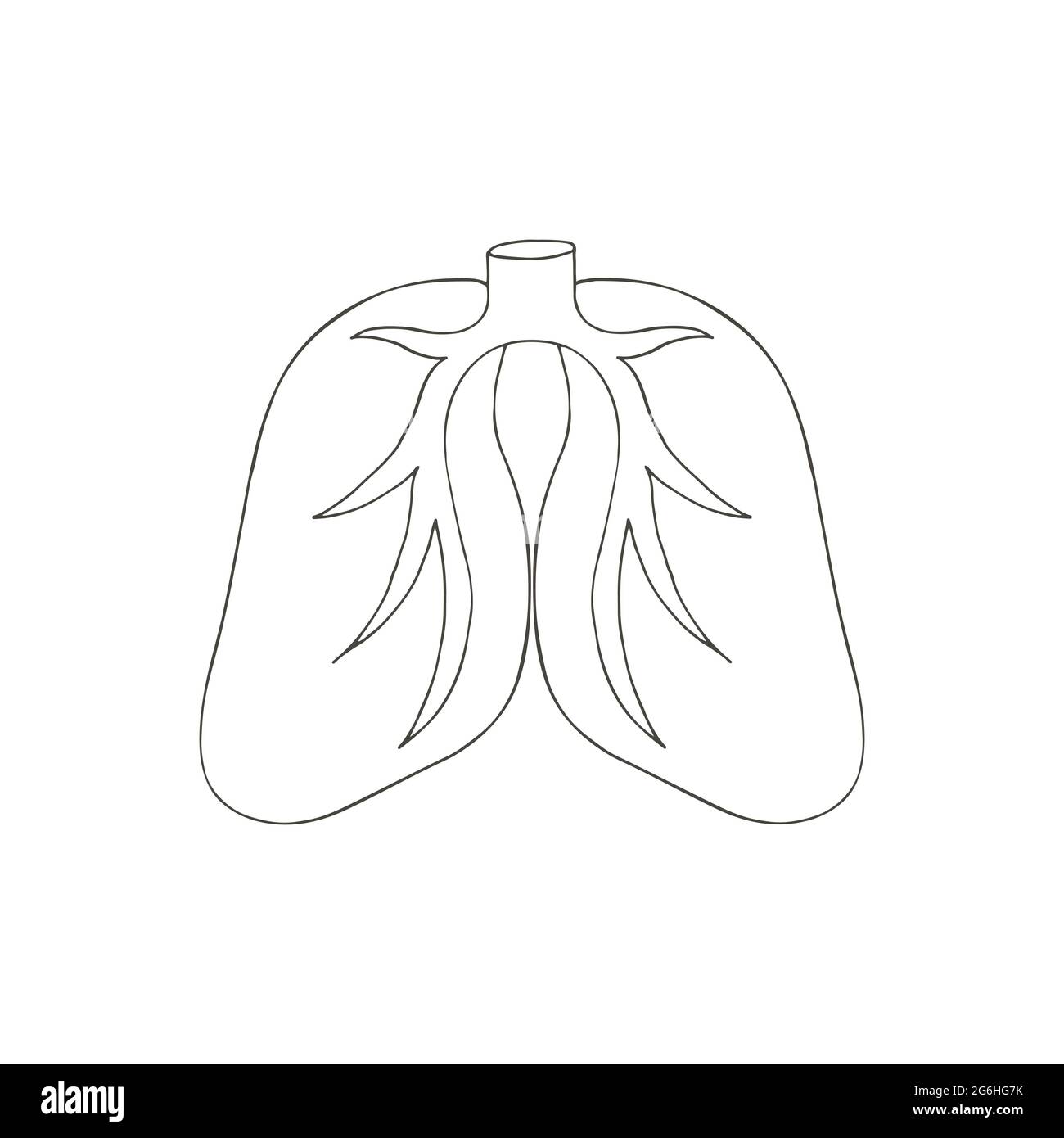 Contour Vector icon in hand draw style. Image isolated on white ...