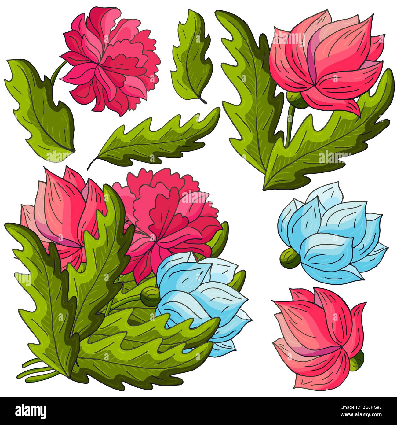 Peonies. Set of bouquets, inflorescences, leaves and flowers as ...