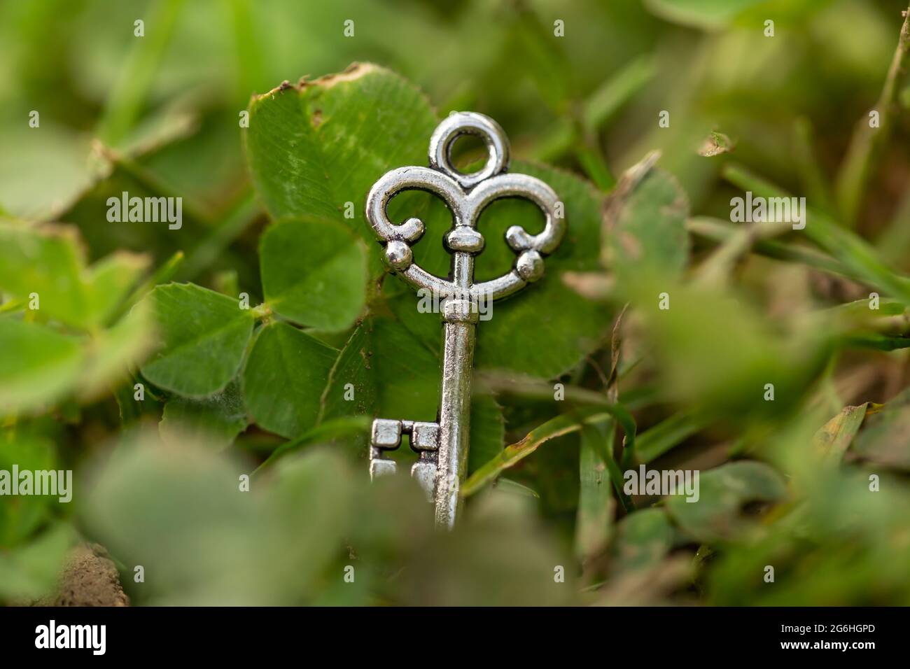Steampunk key hi-res stock photography and images - Alamy