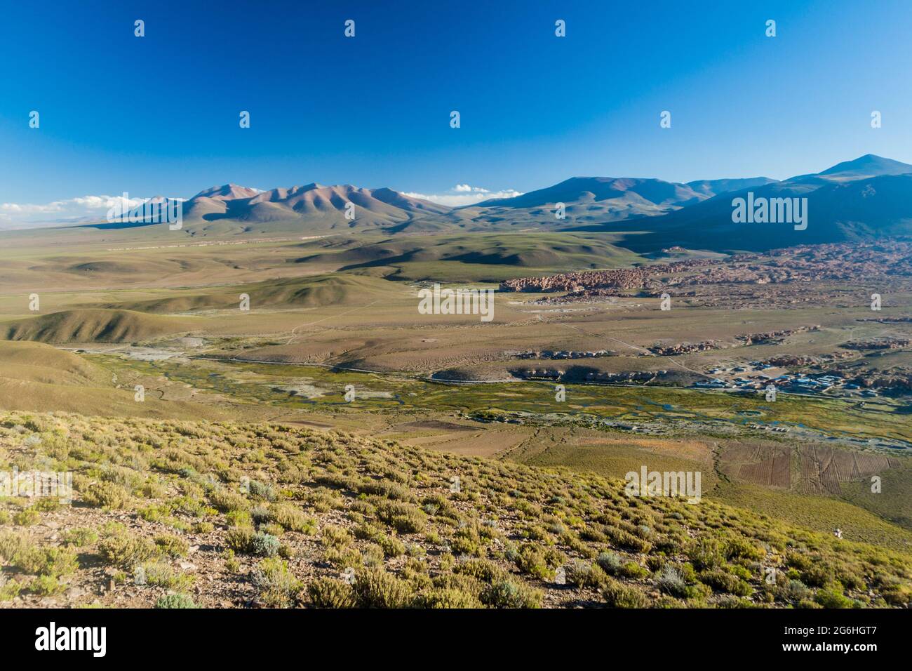 Altiplano ecology hi-res stock photography and images - Alamy