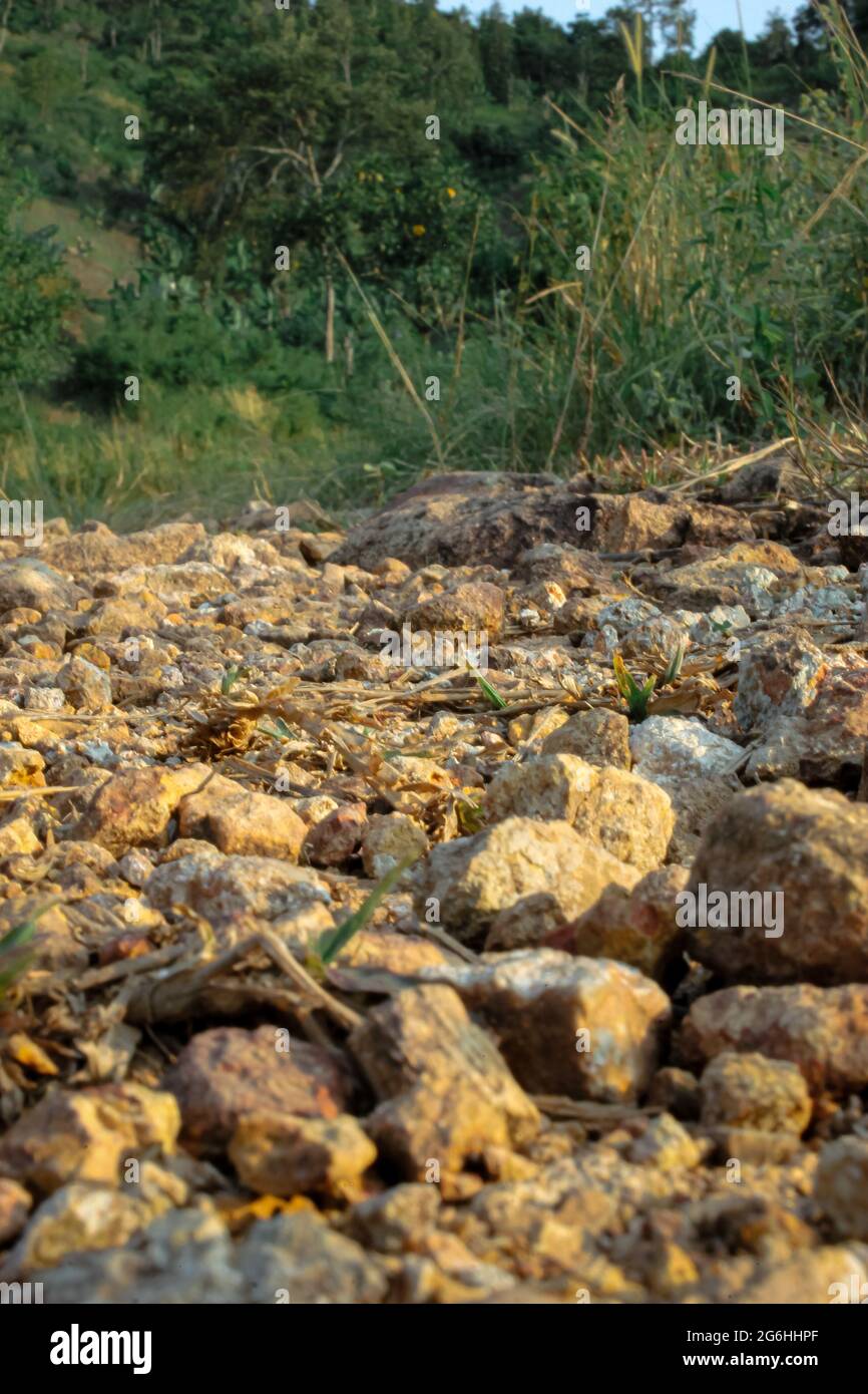 Take a close look at the rocks in nature Stock Photo - Alamy