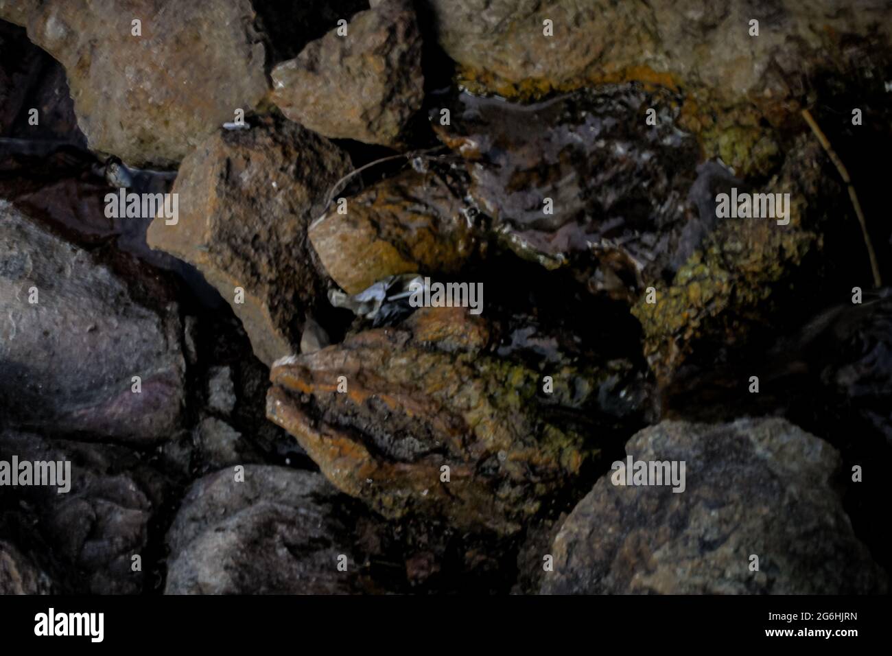 Take a close look at the rocks in nature Stock Photo - Alamy