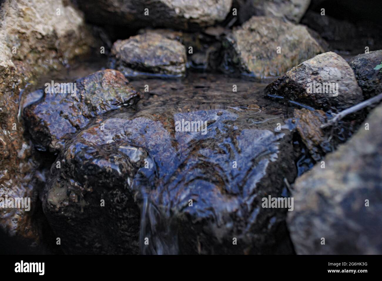 Take a close look at the rocks in nature Stock Photo - Alamy