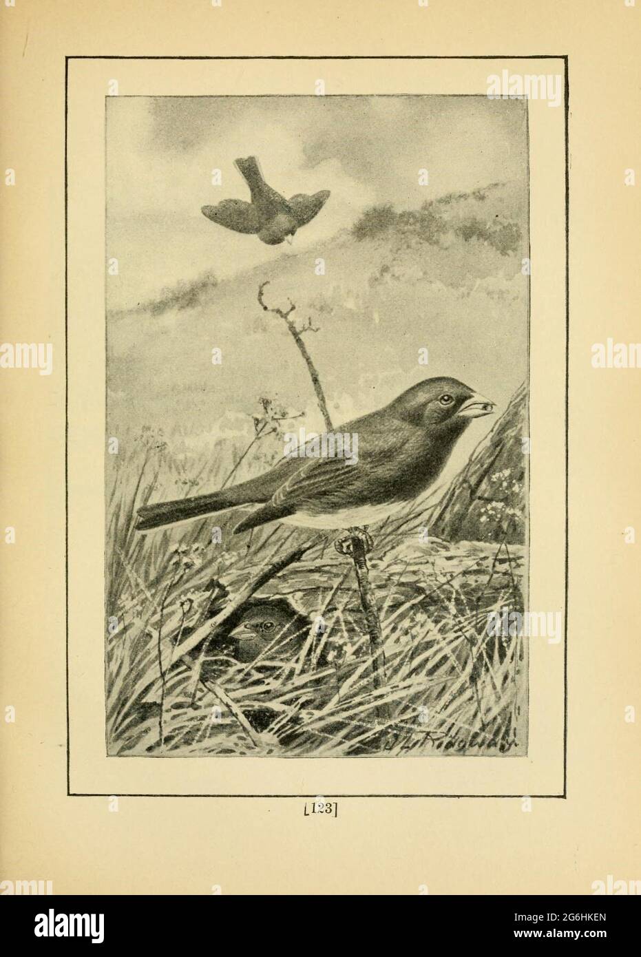 B f johnson publishing company hi-res stock photography and images - Alamy