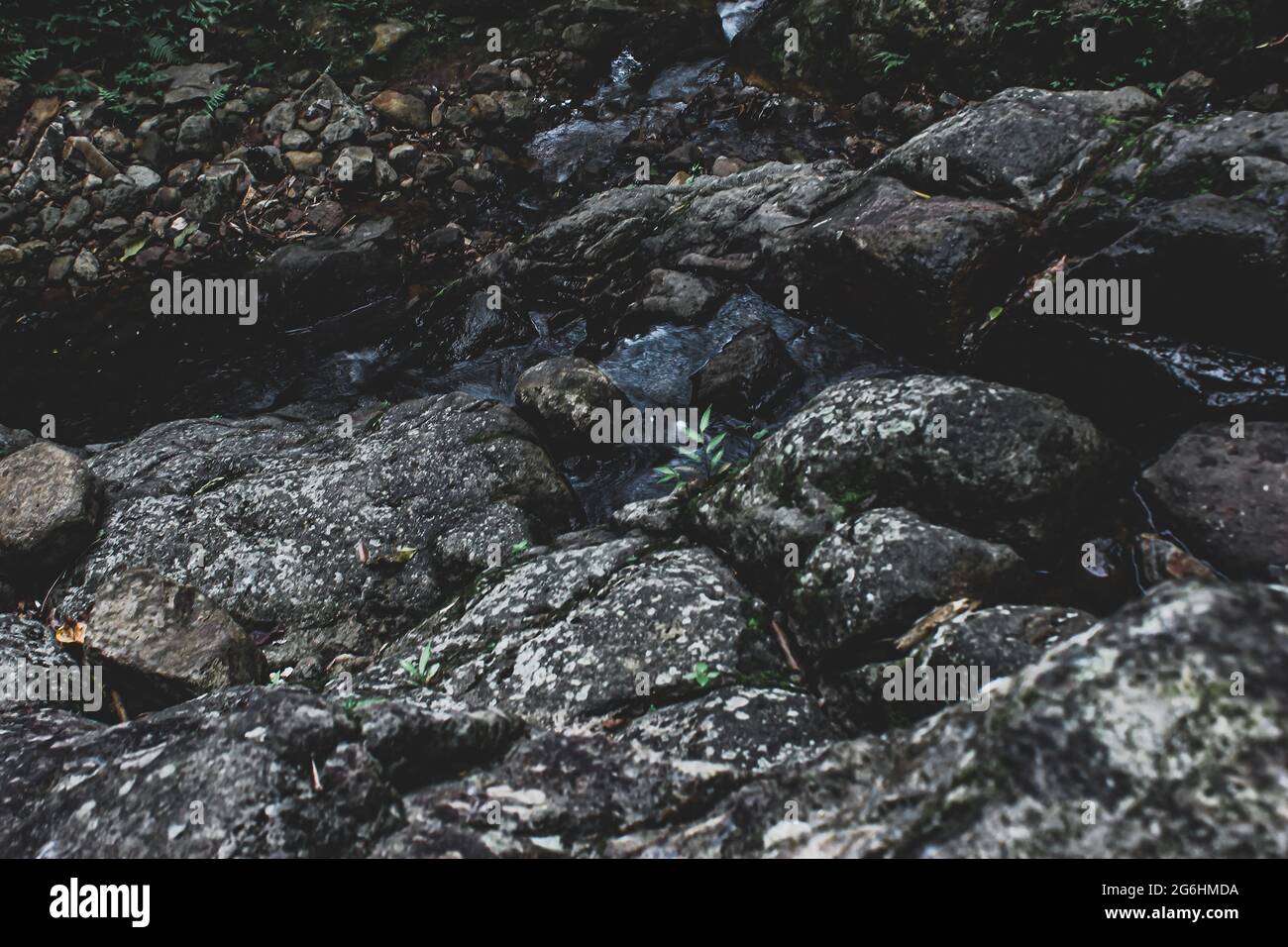 Take a close look at the rocks in nature Stock Photo - Alamy