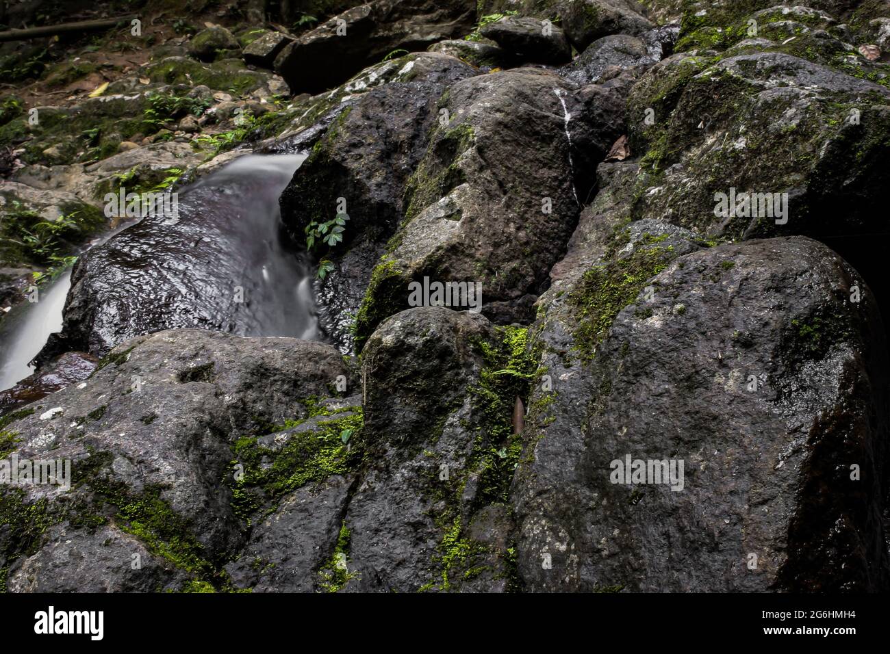 Take a close look at the rocks in nature Stock Photo - Alamy