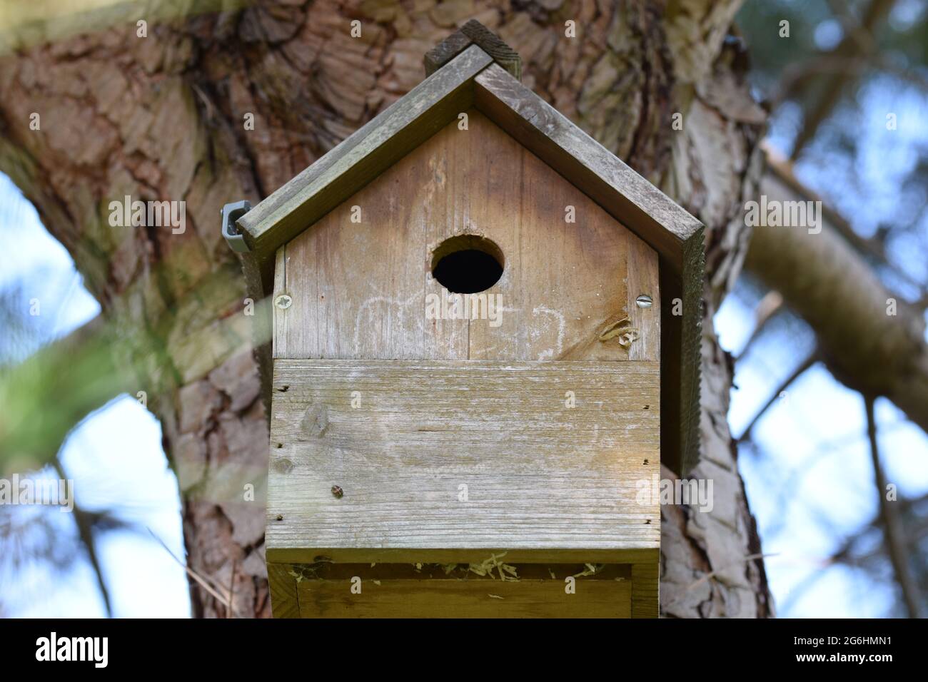 Bird box in a tree hi-res stock photography and images - Alamy