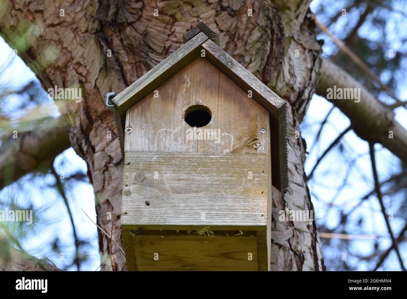 A bird box in a tree - England, UK Stock Photo - Alamy