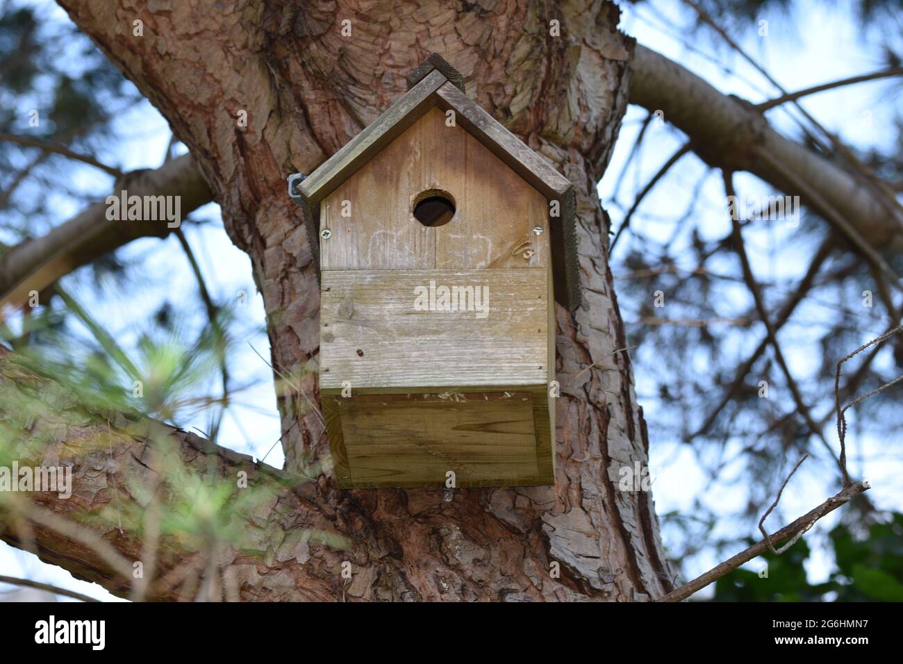 A bird box in a tree - England, UK Stock Photo - Alamy