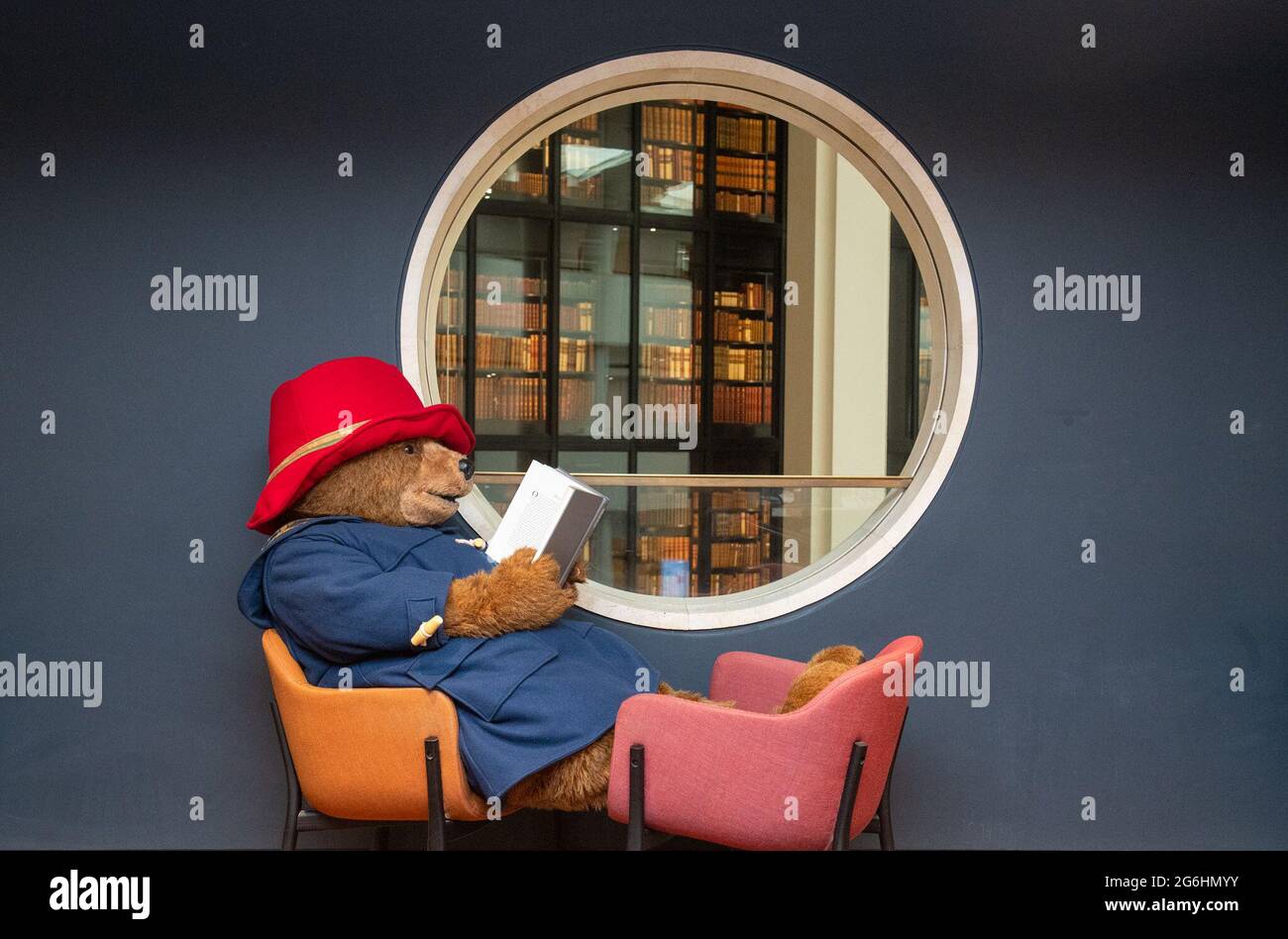 Paddington reads a book in the members room at the British Library ...