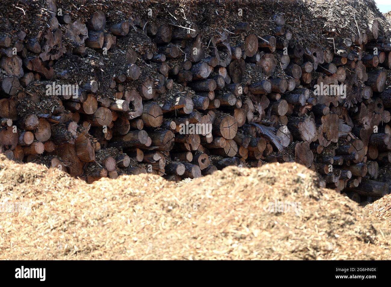 Pile or stack of natural fire wood logs texture background. Abstract ...