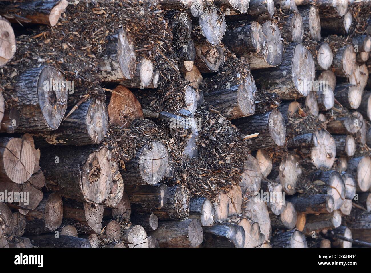 Pile or stack of natural fire wood logs texture background. Abstract ...