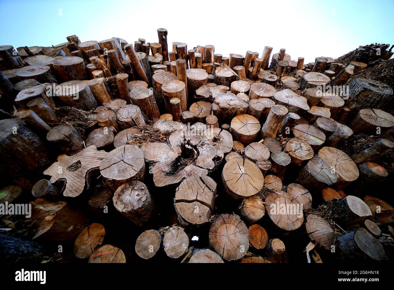 Pile or stack of natural fire wood logs texture background. Abstract ...