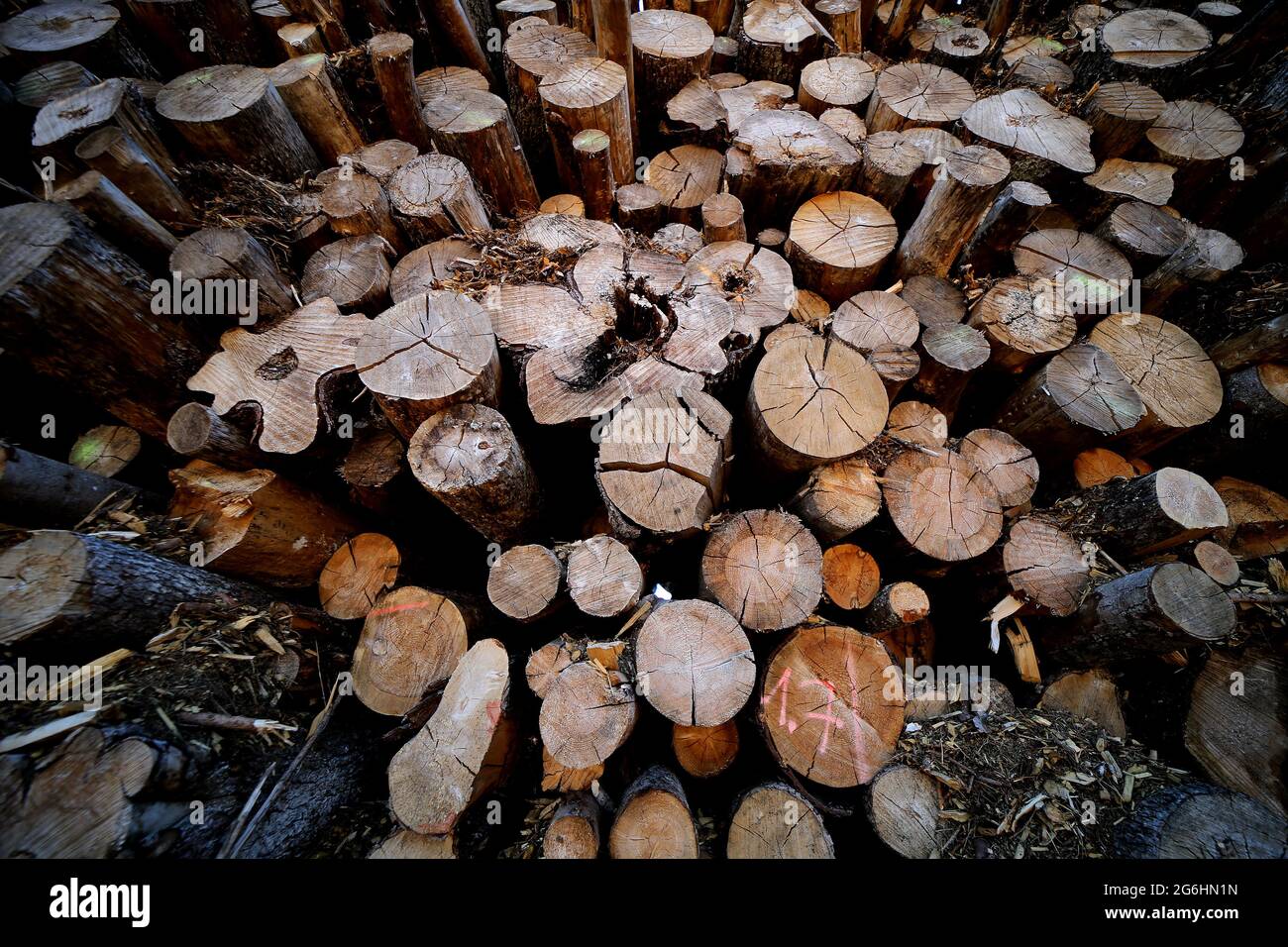 Pile or stack of natural fire wood logs texture background. Abstract ...