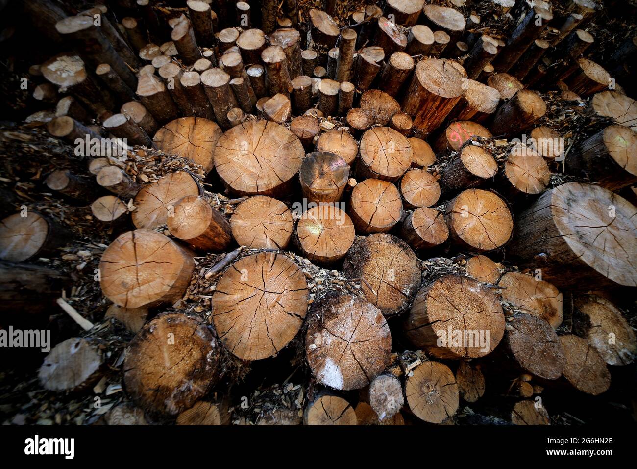 Pile or stack of natural fire wood logs texture background. Abstract ...