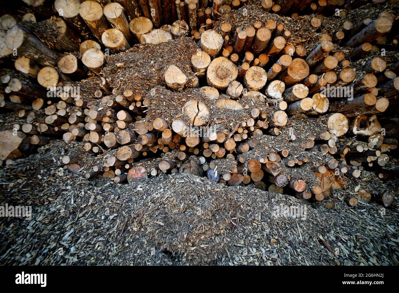 Pile or stack of natural fire wood logs texture background. Abstract ...