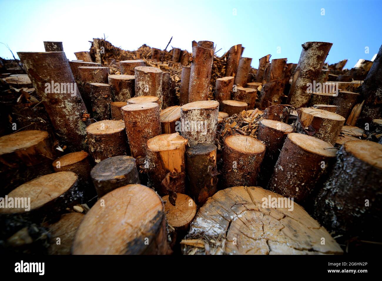 Pile or stack of natural fire wood logs texture background. Abstract ...