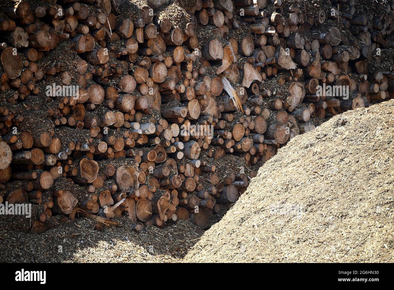 Pile or stack of natural fire wood logs texture background. Abstract ...