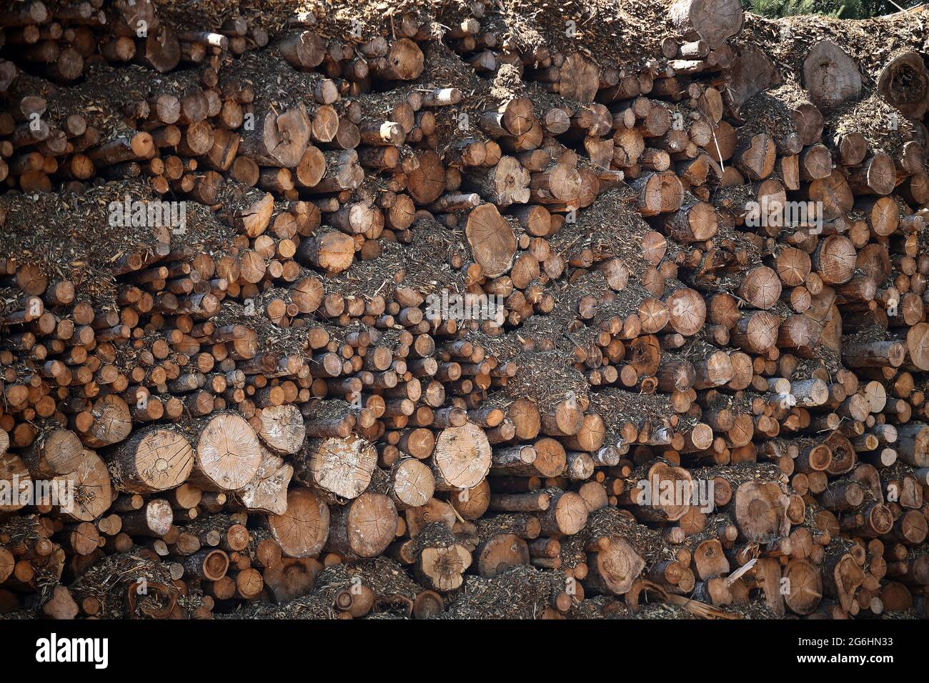 Pile or stack of natural fire wood logs texture background. Abstract ...