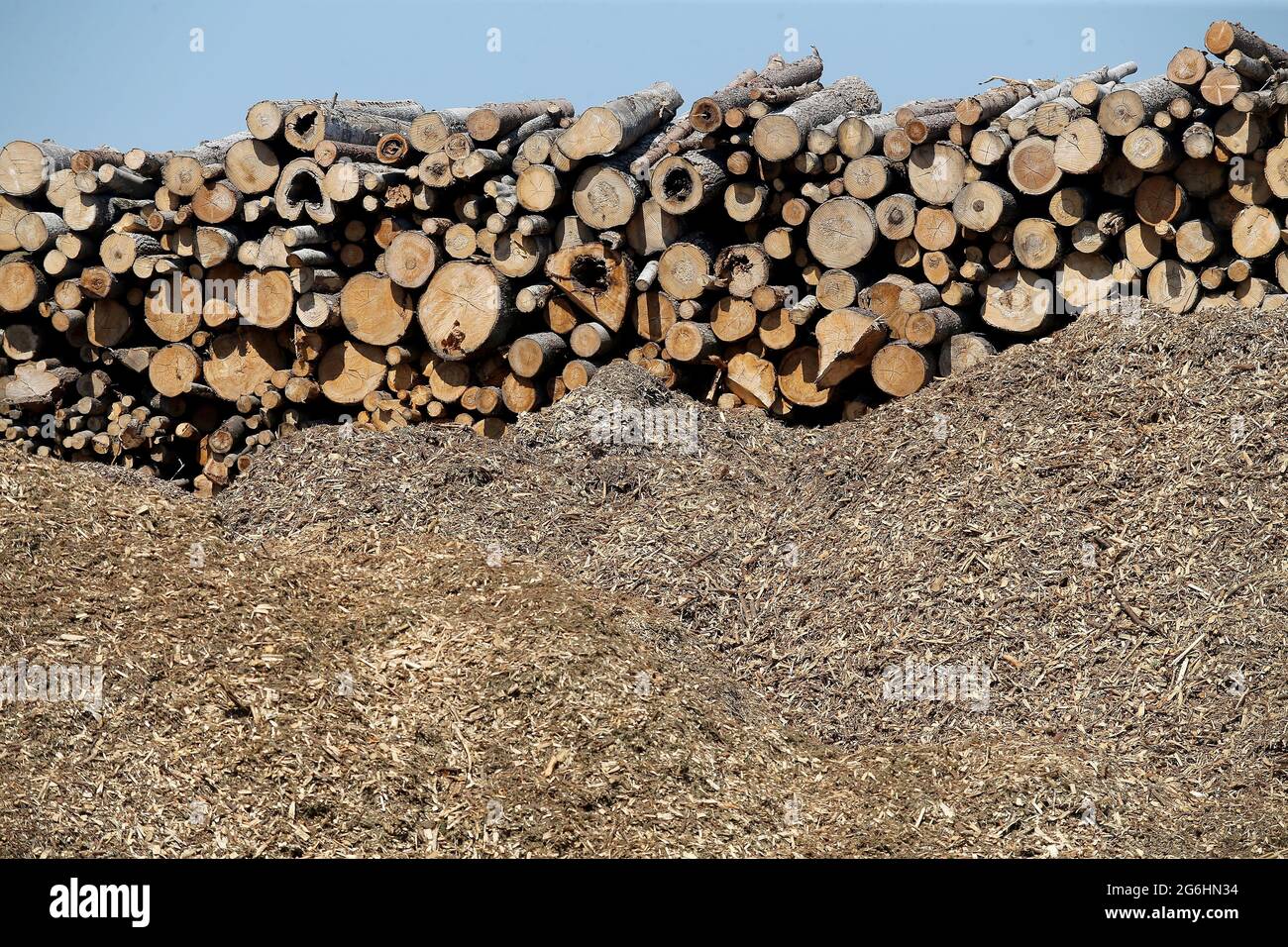 Pile or stack of natural fire wood logs texture background. Abstract ...