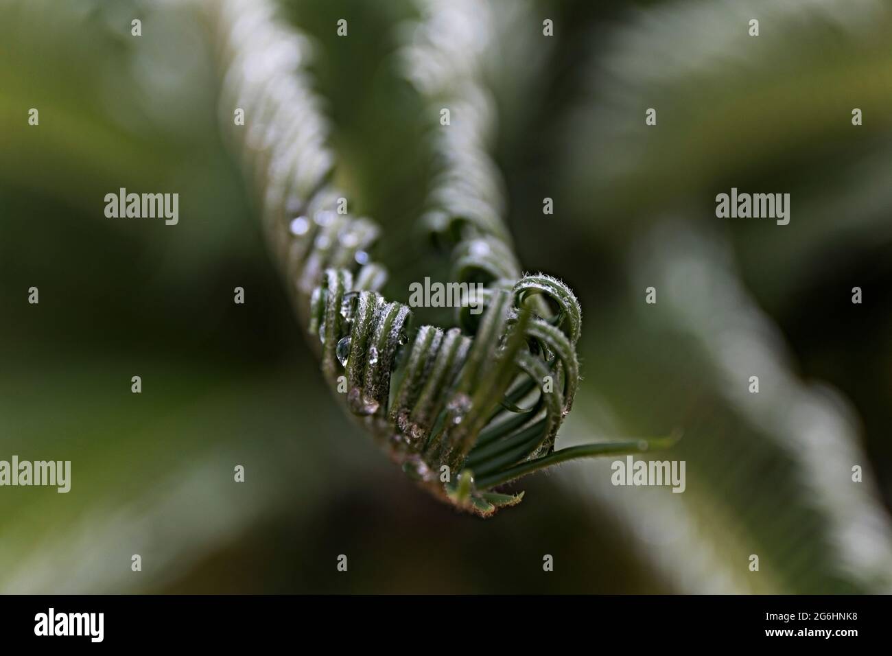 Curv iii hi-res stock photography and images - Alamy