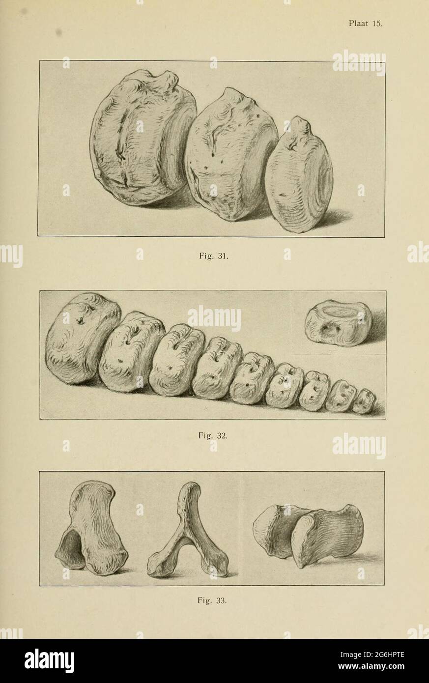 Kolff hi-res stock photography and images - Alamy