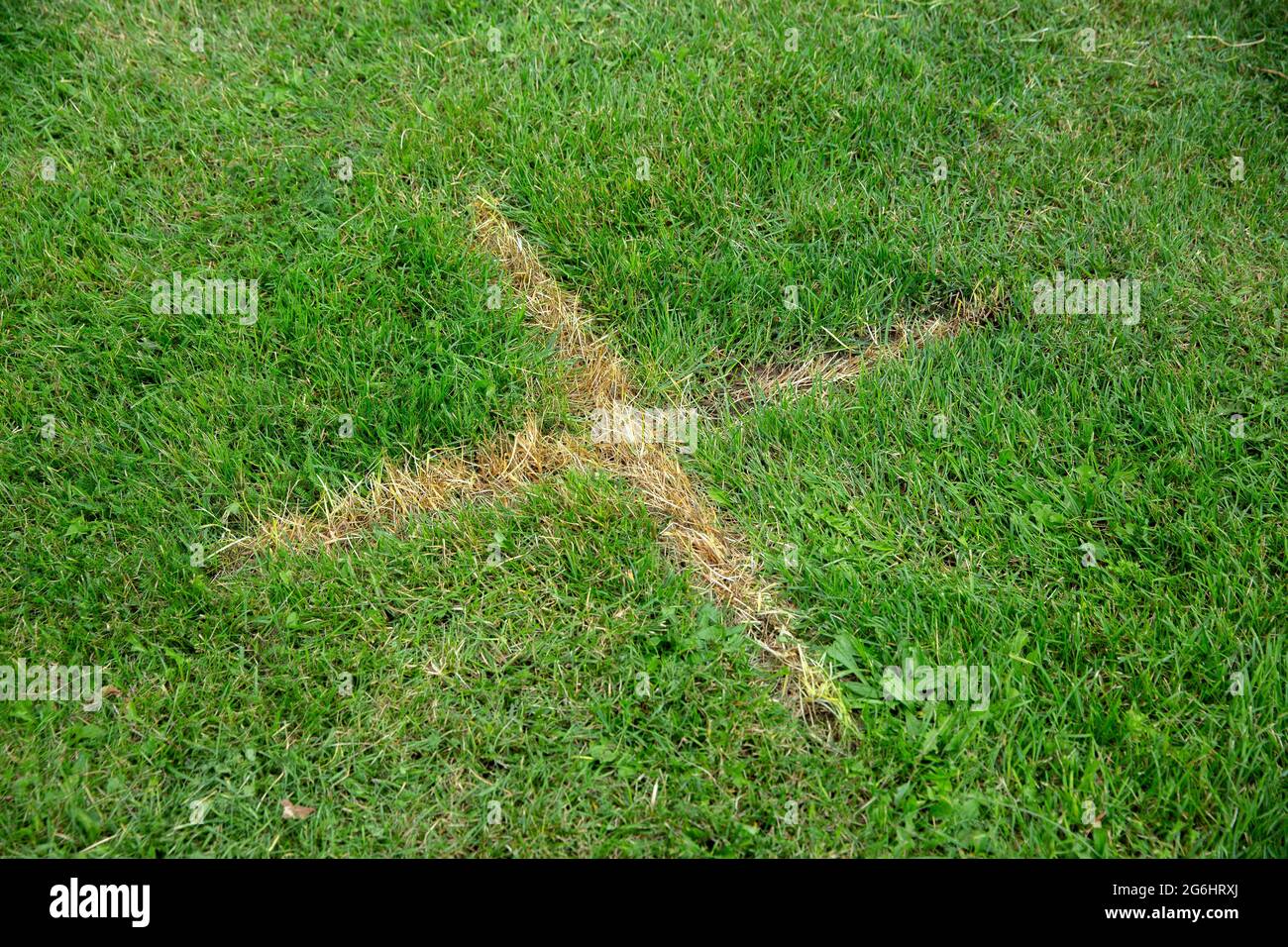Green and dried grass hi-res stock photography and images - Alamy