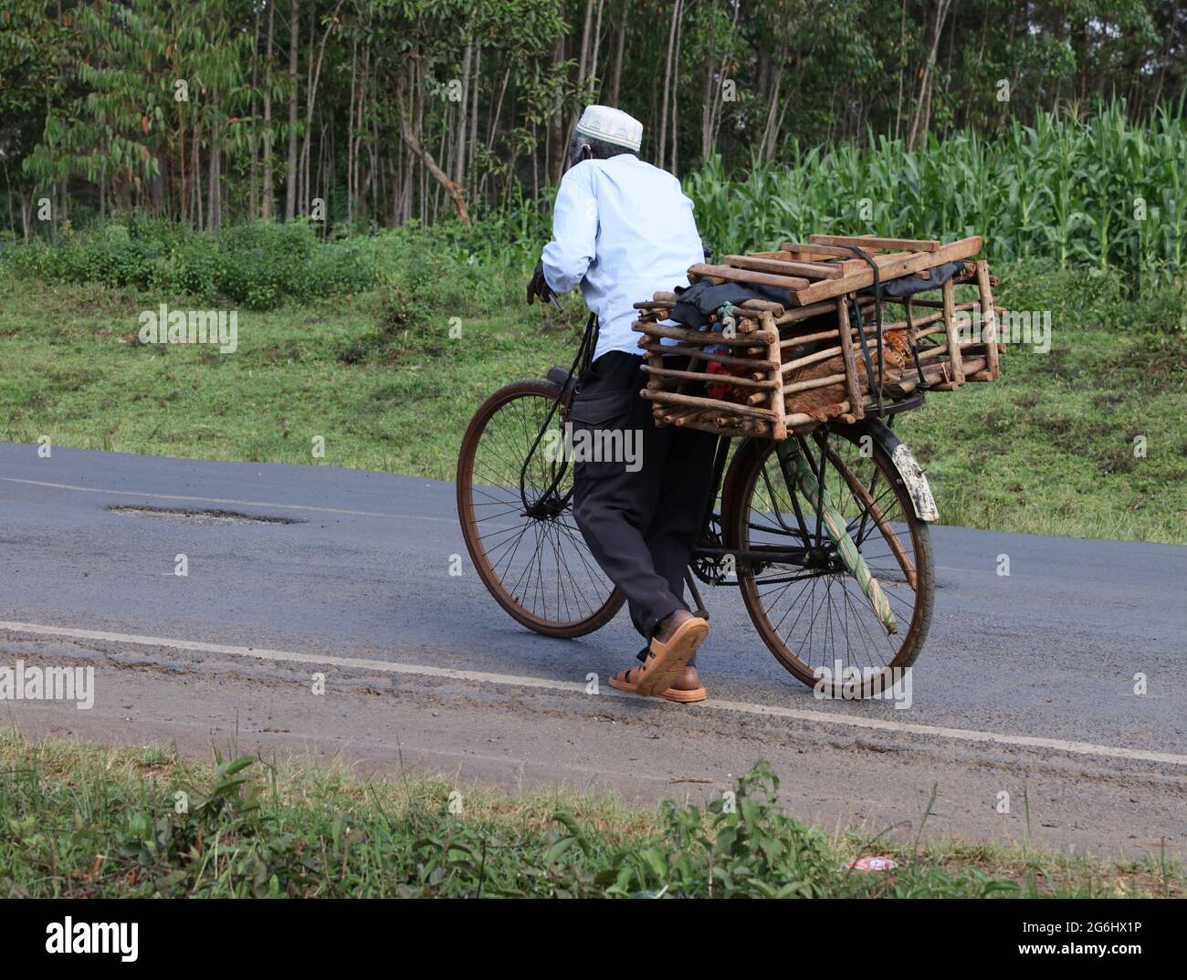 Forms of transportation in africa hi-res stock photography and images ...