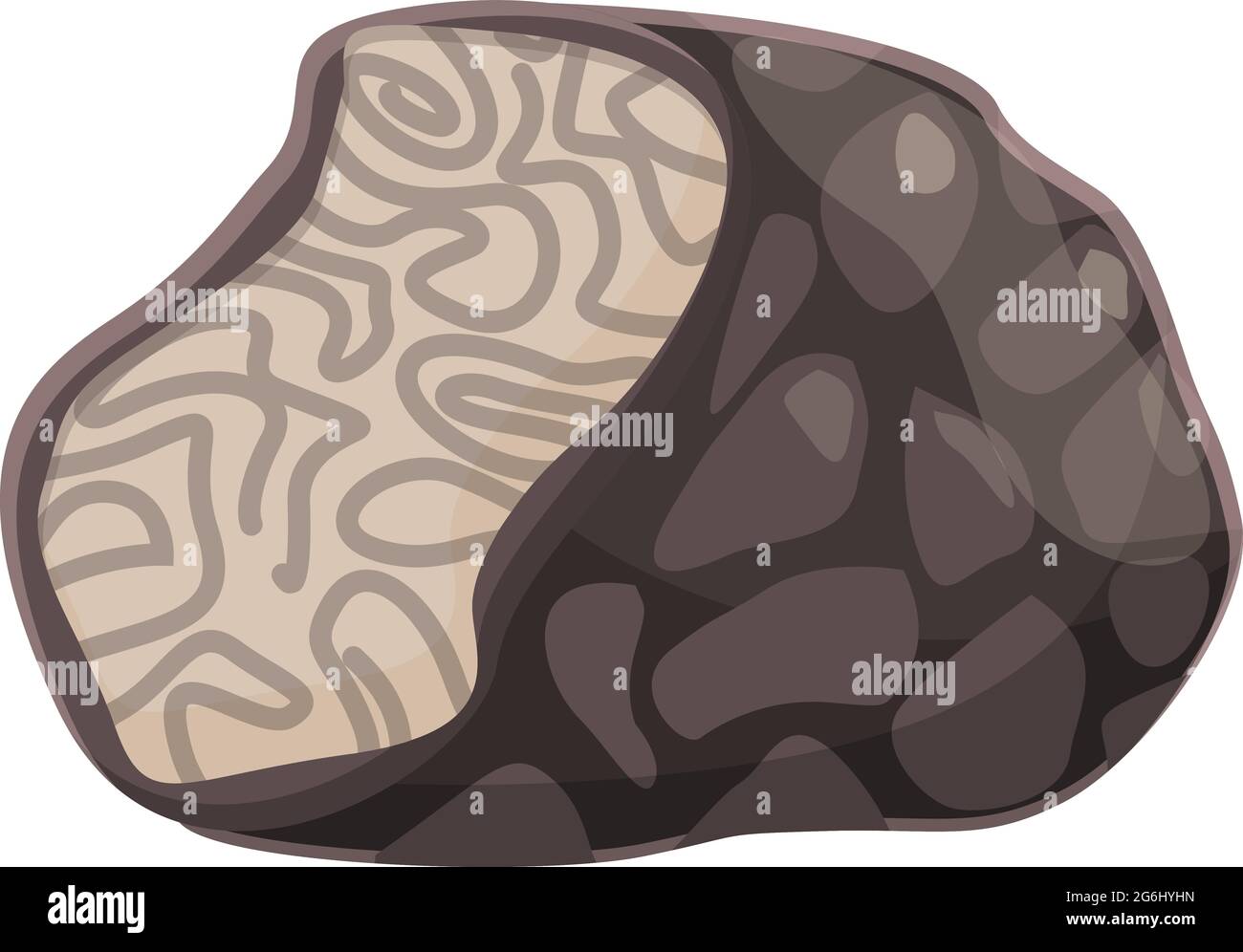 Cuisine truffle icon cartoon vector. Cooking truffle. Fungus mushroom ...