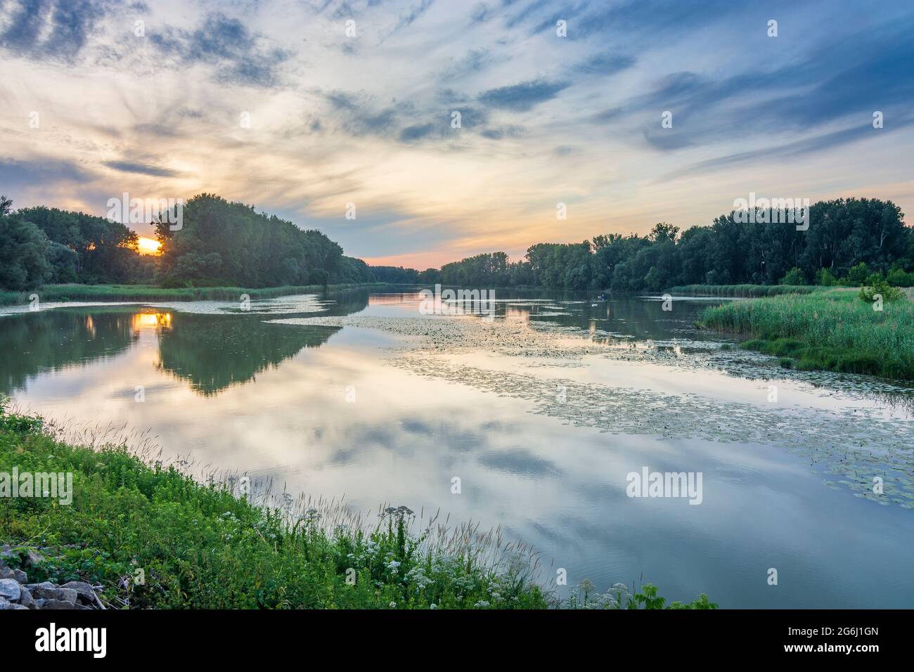 Wien, Vienna: sunset at oxbow lake Kühwörter Wasser in floodplain Lobau ...
