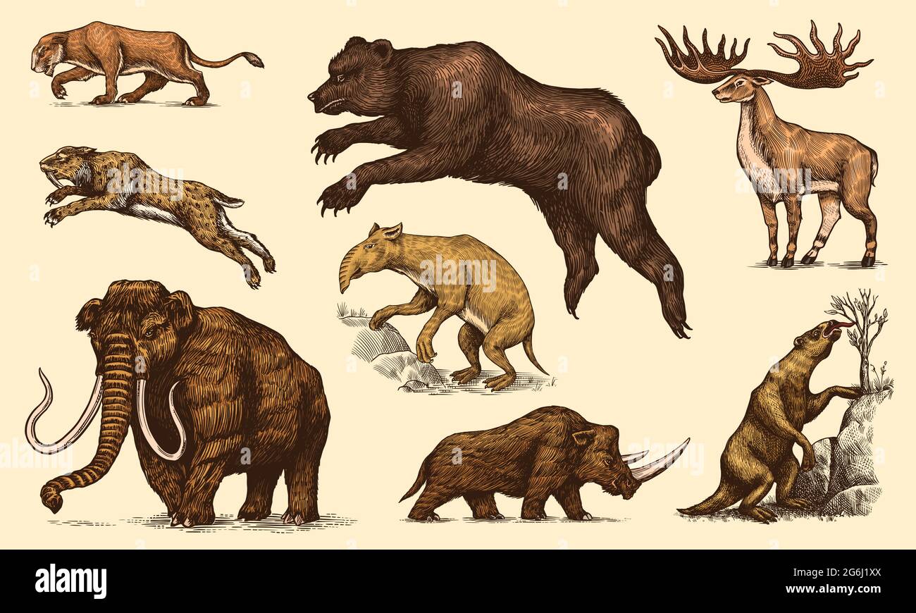 Mammoth or extinct elephant, Woolly rhinoceros Cave bear lion. Panthera ...