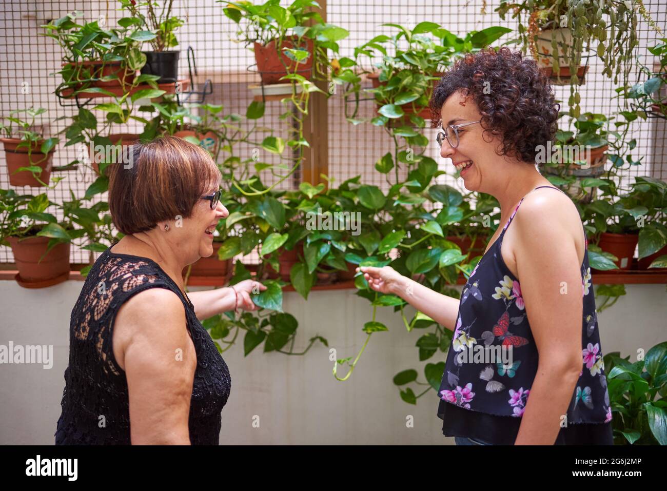 An elderly woman explains to her daughter how to care for pot plants ...