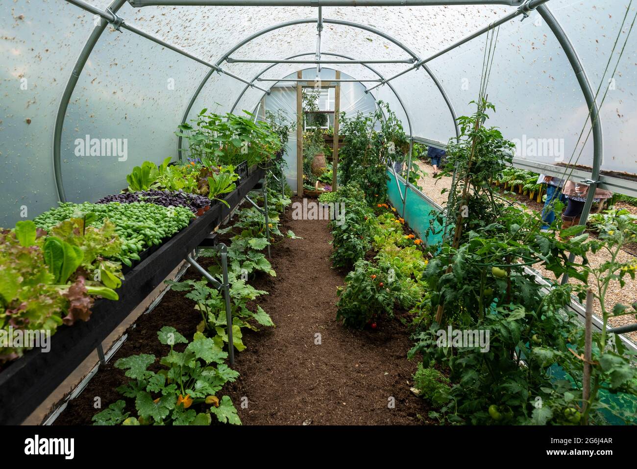 Charles dowding no dig hi-res stock photography and images - Alamy