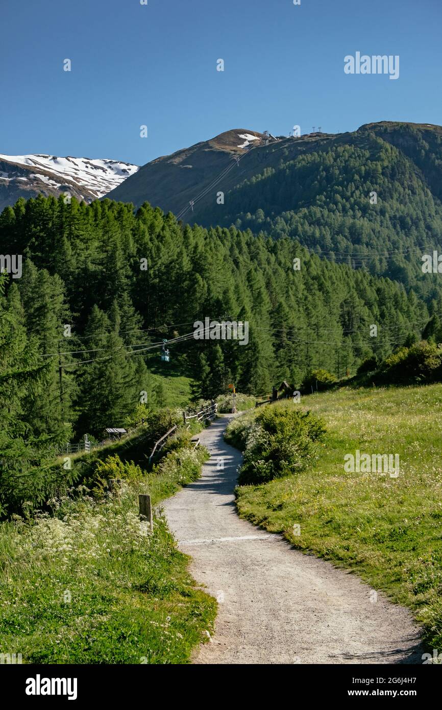 Swiss Alps Mountains with Dense Forest around Zermatt Village in ...