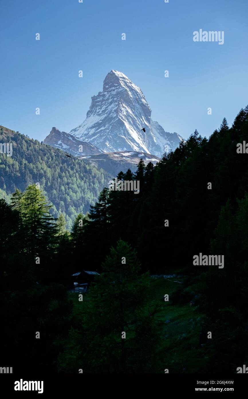 The Mighty and Beautiful Matterhorn Peak, The Famous and Iconic Swiss ...