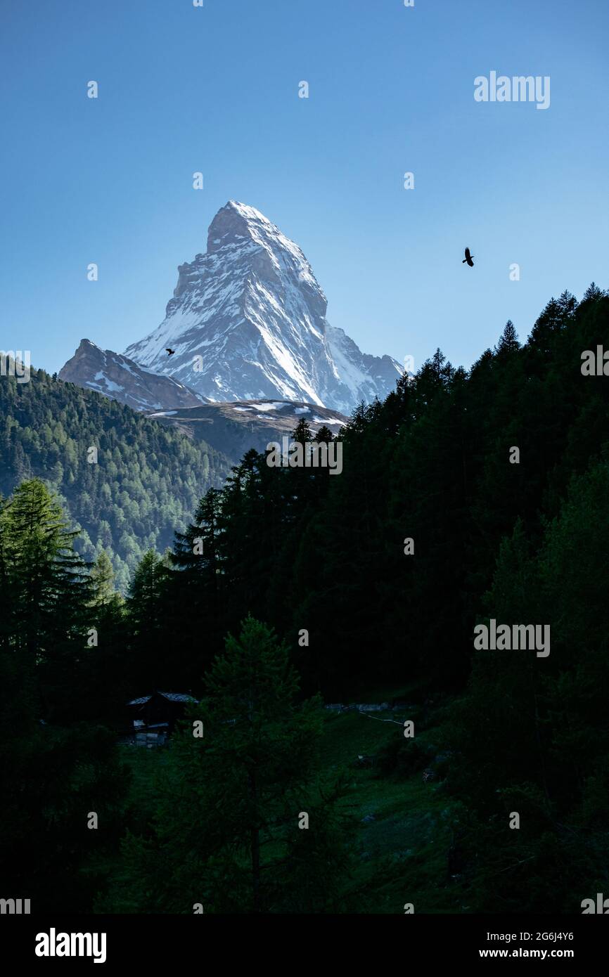 The Mighty and Beautiful Matterhorn Peak, The Famous and Iconic Swiss ...