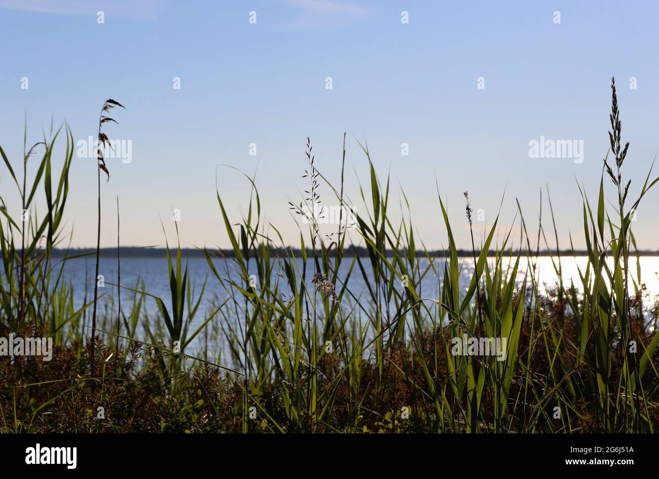Camp on a lake by a campfire in summer in the baltics, hot days Stock ...