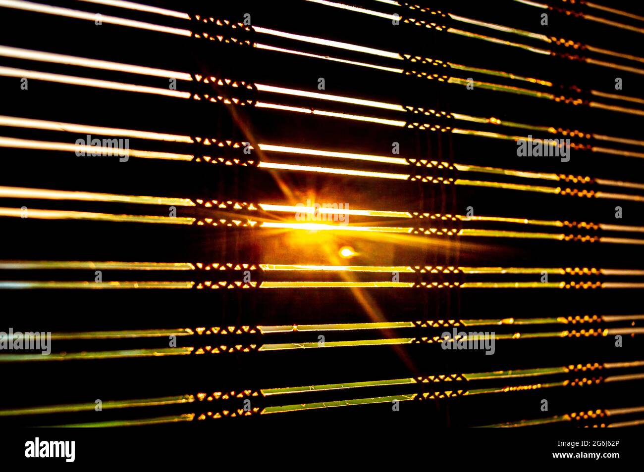 the evening sun peeking through the curtain. sunset moment. sunlight ...