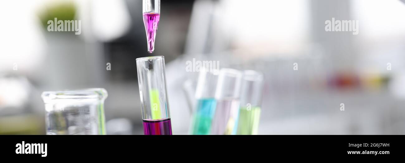 Scientist dropping pink liquid with pipette into test tube closeup ...