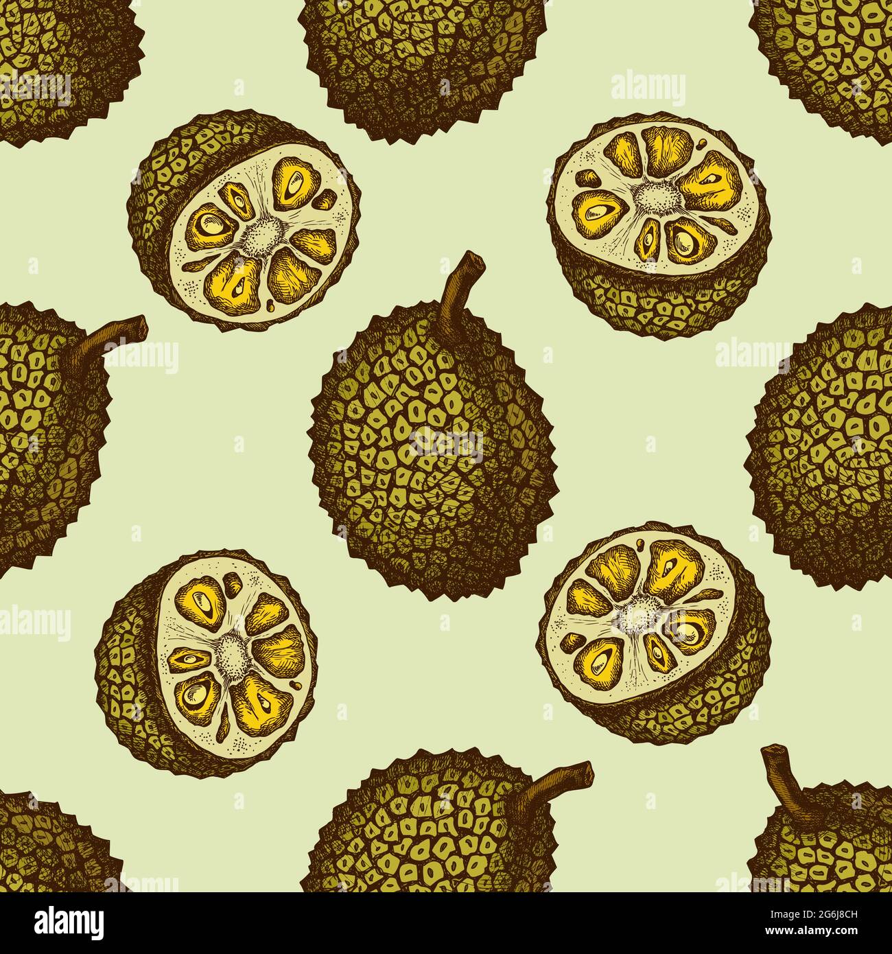 Seamless pattern with hand drawn colored jackfruit Stock Vector Image ...