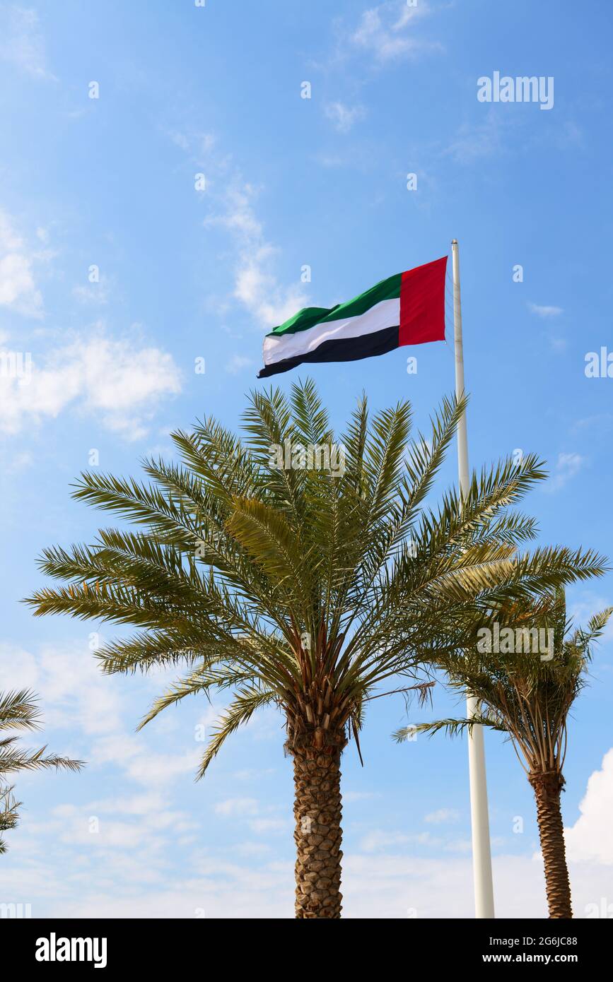 The flag of United Arab Emirates is near Etihad museum and palm tree ...