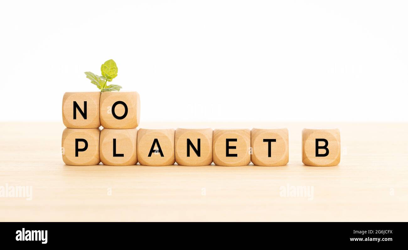 No Planet B phrase in wooden blocks on table. White background. Copy ...