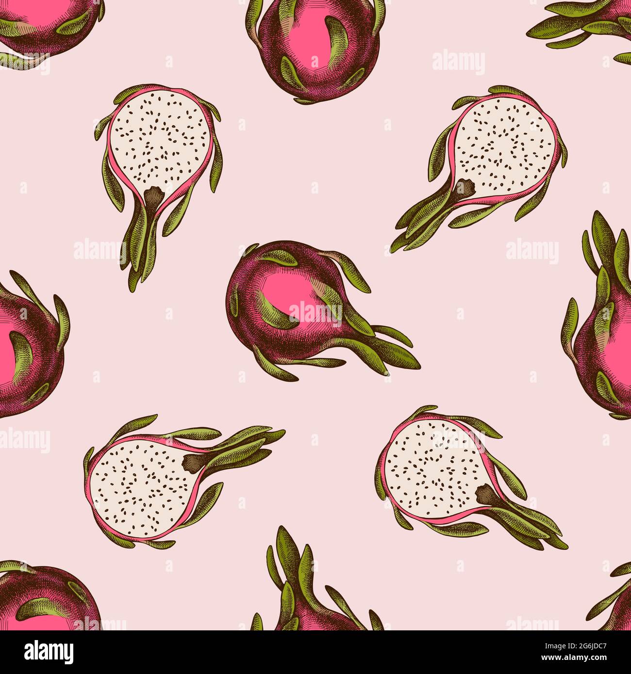Seamless pattern with hand drawn colored pitaya Stock Vector Image ...