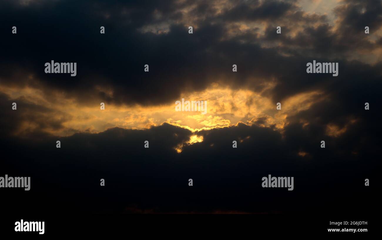 Black and yellow colours in nature hi-res stock photography and images ...