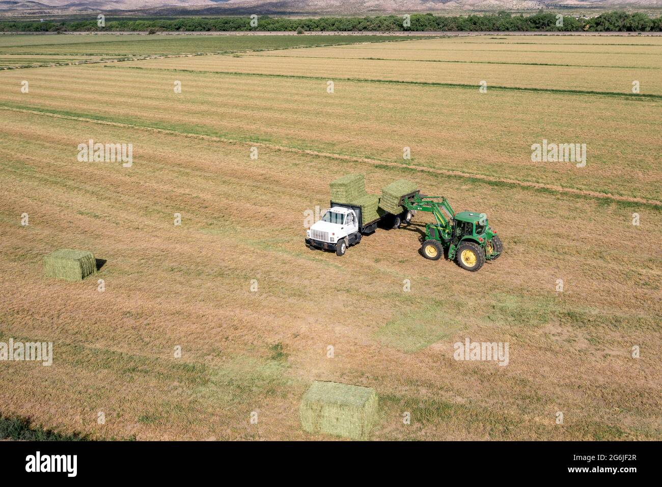 San Acacia, New Mexico - Bales of alfalfa are stacked on a farm near ...