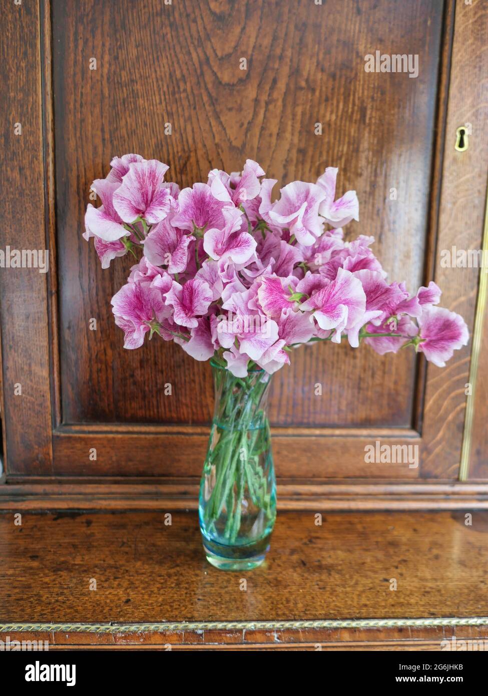 Sweet pea flower ripple hi-res stock photography and images - Alamy